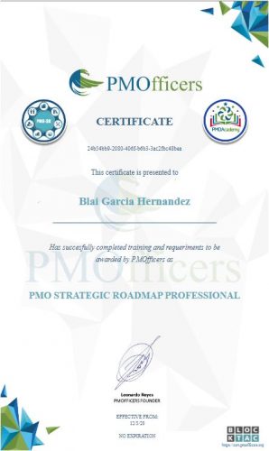 PMO AUDIT PROFESSIONAL CERTIFIED (SESIÓN ESPAÑOL) - PMO Academy
